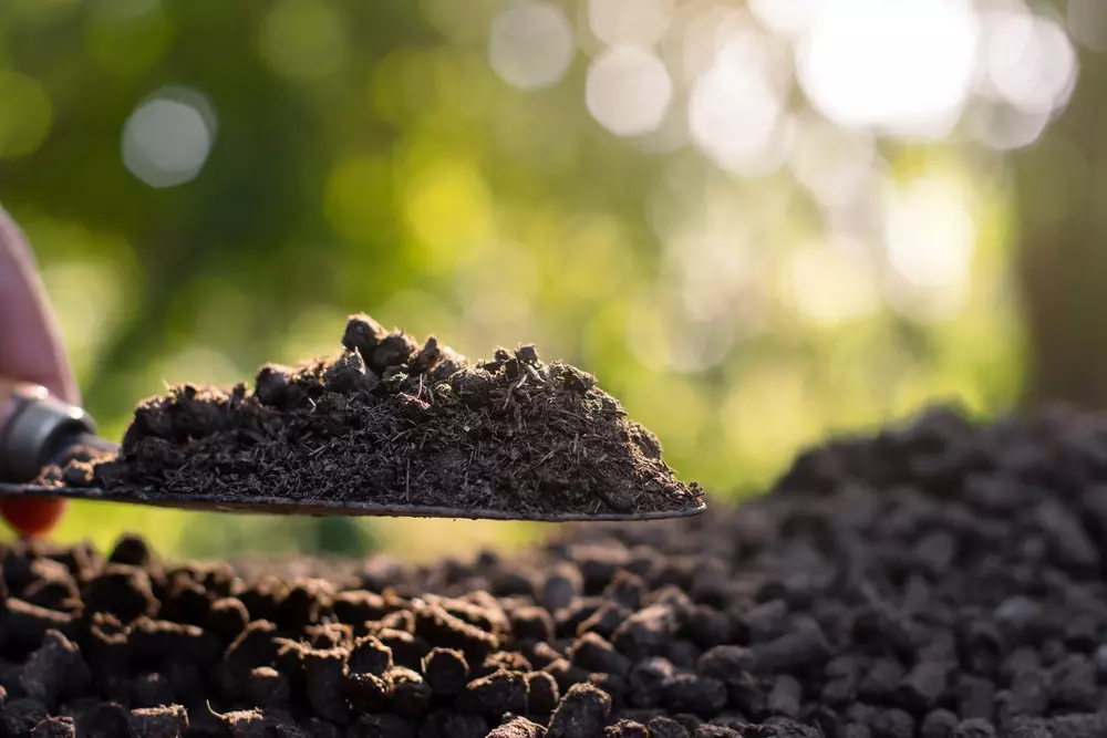 Manure: from waste to agricultural input and energy - My Minerva - English